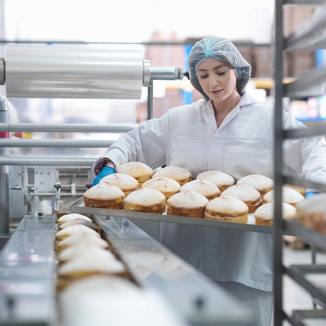 Food & Beverage Processing Machinery | NSK Global