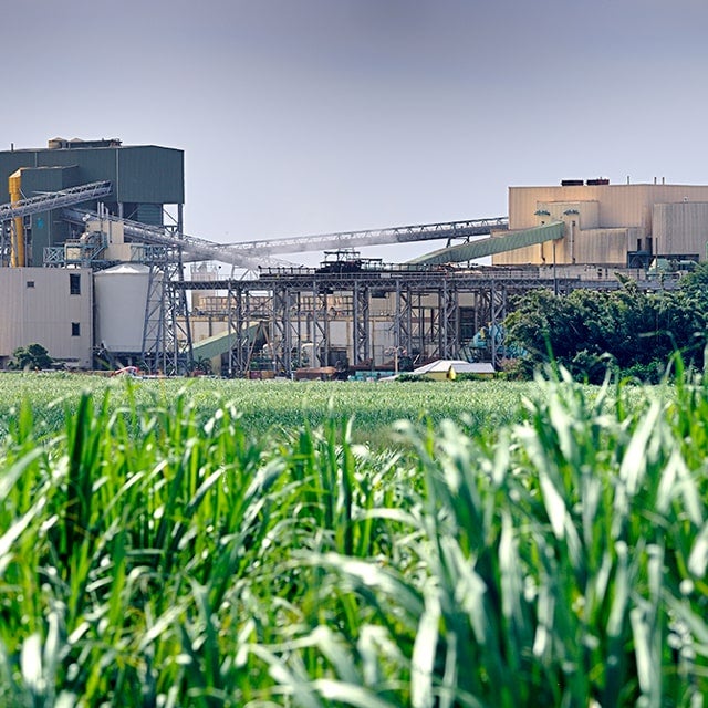 Sugar | NSK Global
