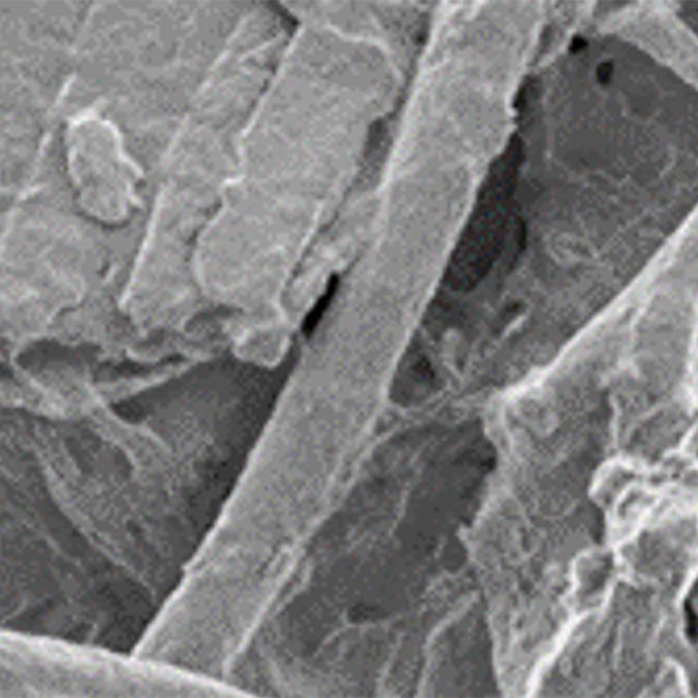 Analysis and Technologies Development | NSK-Warner